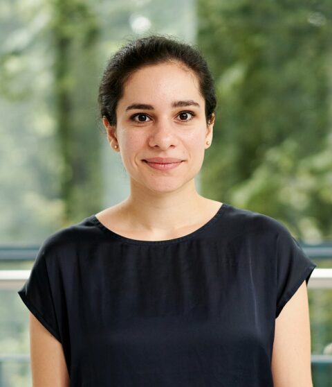 Risk Management - Proxora